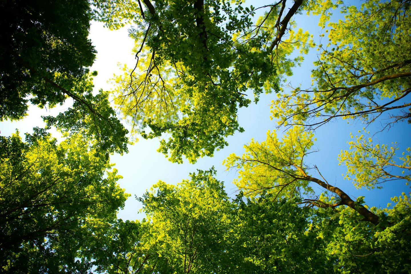 Natural Image Property Services